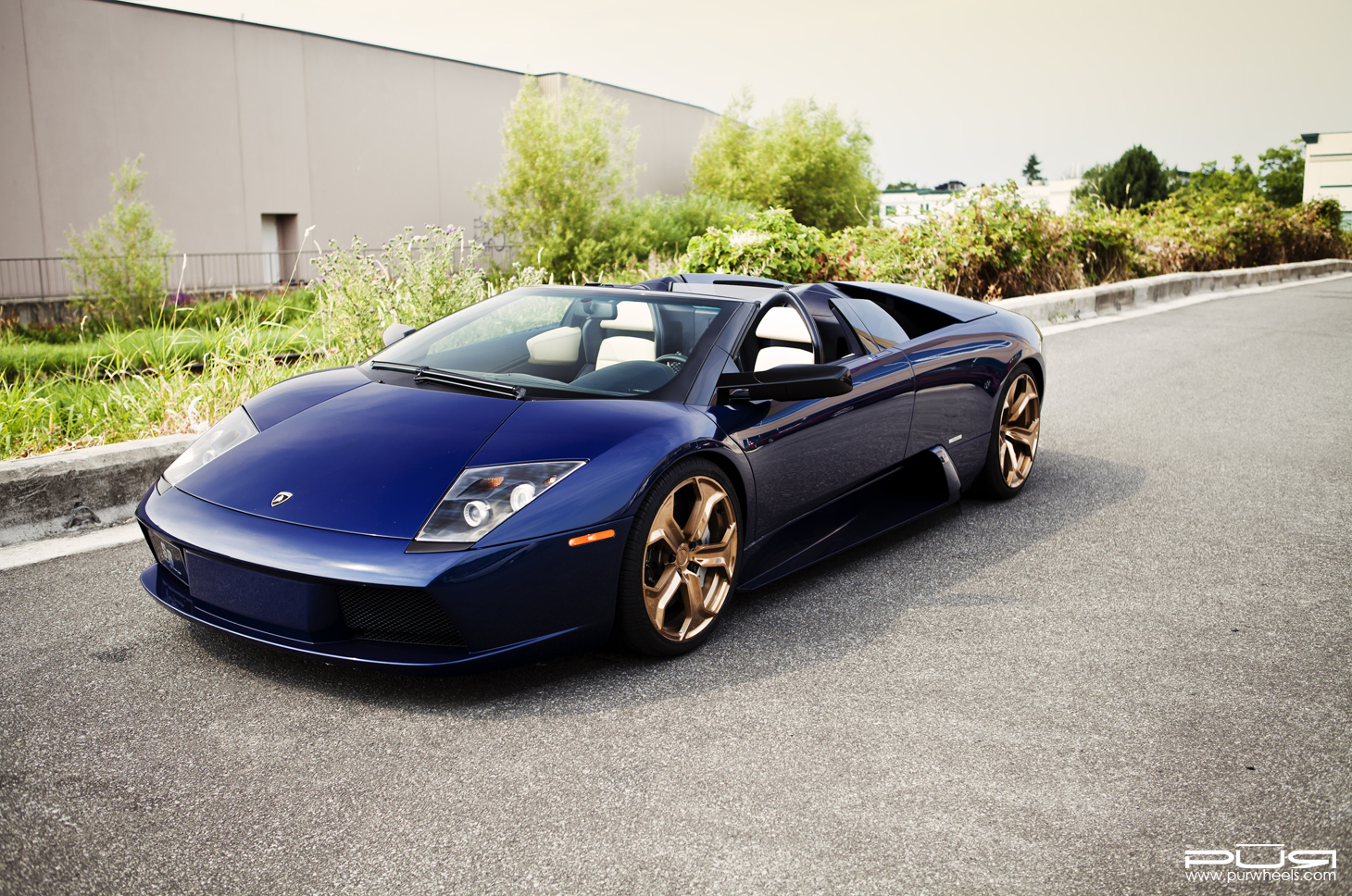 Dark Blue Lamborghini Murcielago